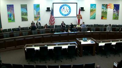 11/15/23 Senate Committee on Education PreK-12 - The Florida Channel