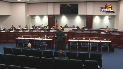 4/10/25 House Government Operations Subcommittee - The Florida Channel