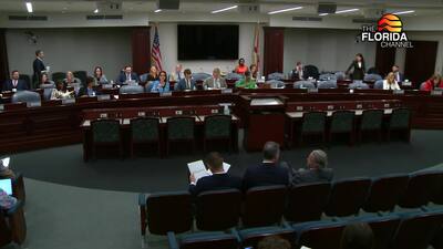 4/22/25 House Budget Committee - The Florida Channel