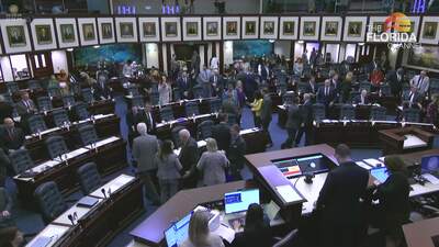 2/29/24 House Session - The Florida Channel