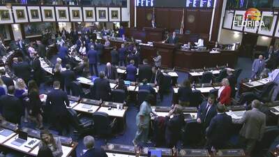 3/8/24 House Session - The Florida Channel