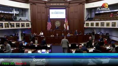 4/29/25 Senate Session - The Florida Channel