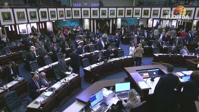 3/6/24 House Session - The Florida Channel
