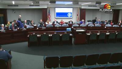 3/4/25 House State Administration Budget Subcommittee - The Florida Channel