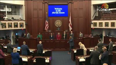 2/7/24 Senate Session - The Florida Channel