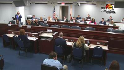 3/12/25 House Health Care Budget Subcommittee - The Florida Channel