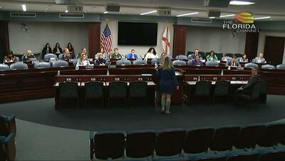3/16/23 House PreK-12 Appropriations Subcommittee - The Florida Channel