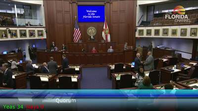 2/13/25 Senate Special Session C - The Florida Channel
