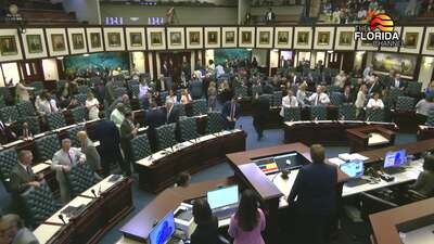 5/1/25 House Session - The Florida Channel