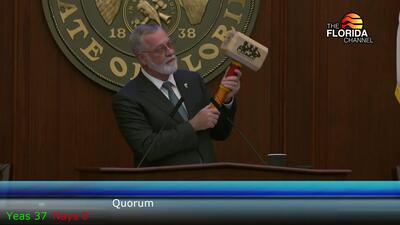 3/19/25 Senate Session - The Florida Channel