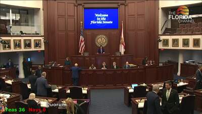 3/6/24 Senate Session - The Florida Channel