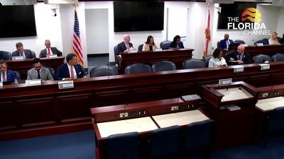 3/5/25 House Health Professions & Programs Subcommittee - The Florida ...