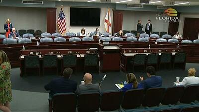 4/12/23 House Health Care Appropriations Subcommittee - The Florida Channel