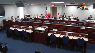 4/24/25 House Health Care Budget Subcommittee - The Florida Channel