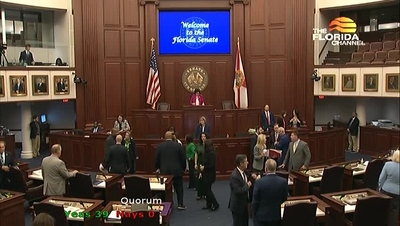 4/28/23 Senate Session - The Florida Channel