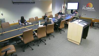 2/11/25 Revenue Estimating Conference: Article V Revenues - The Florida ...