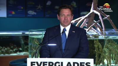 4/22/24 Governor's Press Conference on Funding for Everglades ...