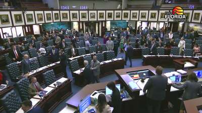 4/25/25 House Session - The Florida Channel