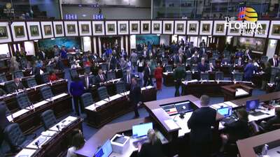 2/15/24 House Session - The Florida Channel