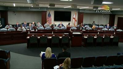 3/27/23 House Justice Appropriations Subcommittee - The Florida Channel ...