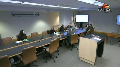 2/21/25 Revenue Estimating Impact Conference - The Florida Channel