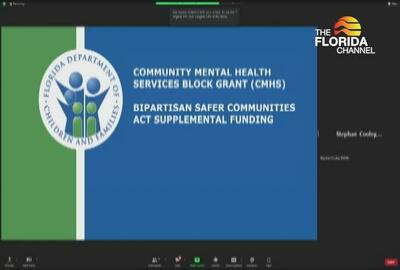 3/17/23 Behavioral Health Block Grant Planning Council Day 2 - The ...