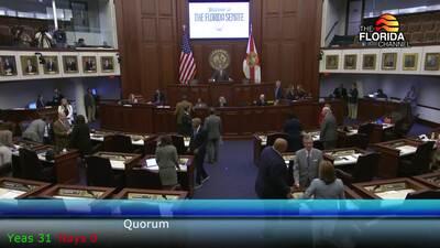 4/28/25 Senate in Session - The Florida Channel