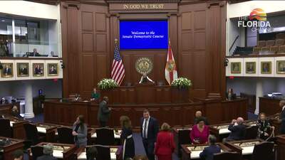 11/18/24 Senate Democratic Caucus: Formal Election of Leader - The ...