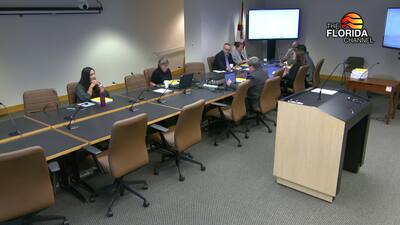 7/15/25 Revenue Estimating Impact Conference - The Florida Channel