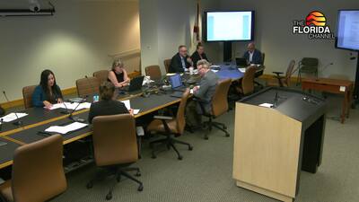 7/31/25 Revenue Estimating Conference: Article V Revenues - The Florida ...