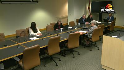 8/4/25 Revenue Estimating Conference: Post-Session, End of Year, and ...