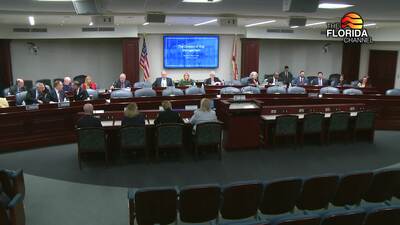 3/19/25 House State Administration Budget Subcommittee - The Florida ...