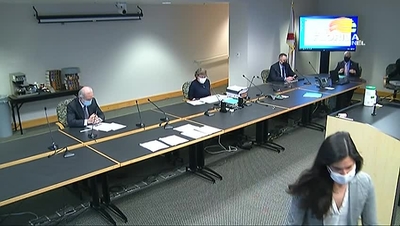 5/6/21 Revenue Estimating Impact Conference - The Florida Channel