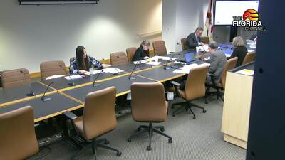 3/12/25 Revenue Estimating Conference: Fiscally Constrained Counties ...