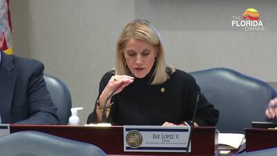 2/20/25 House State Administration Budget Subcommittee - The Florida ...