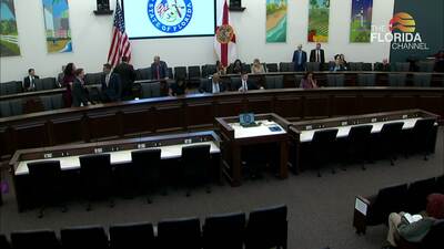 11/7/23 Senate Committee on Education Pre-K -12 - The Florida Channel