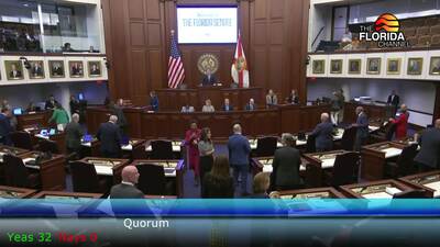 4/15/25 Senate Session - The Florida Channel