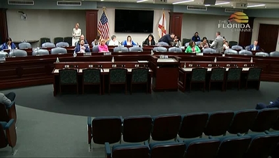 3/28/23 House PreK-12 Appropriations Subcommittee - The Florida Channel
