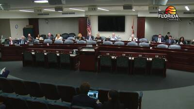 4/2/25 House State Administration Budget Subcommittee - The Florida Channel