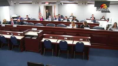 3/26/25 House Health Care Budget Subcommittee - The Florida Channel