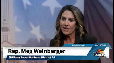 Perspectives – Representative Weinberger, Meg (R) - District 94 - Palm ...