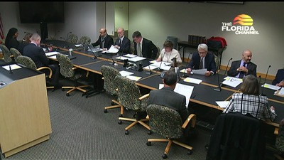 1/8/20 Revenue Estimating Conference: Fiscally Constrained Counties ...