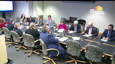 2/3/20 Revenue Estimating Impact Conference - The Florida Channel