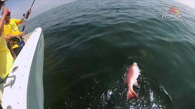 11/10/25 Capitol Update Extended - Governor Announces Proposal for ...