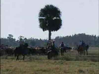 Florida Portrait - Cracker Cowboys - The Florida Channel