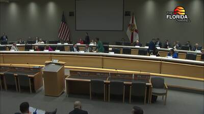 3/27/25 House Budget Committee - The Florida Channel