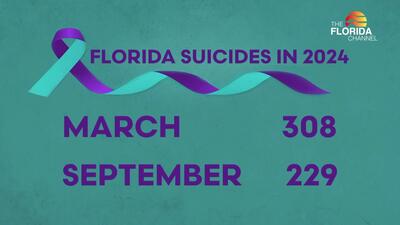 10/28/24 Capitol Update Extended - Suicide Prevention Council Reports ...
