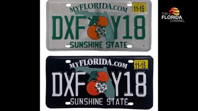 8/7/24 Capitol Update Extended - FHP Warns Drivers that Wrapped License ...