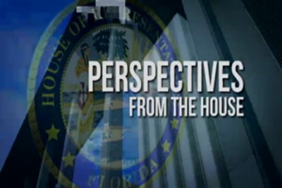 Perspectives – Representative Alexander, Ramon (D) - District 8 ...