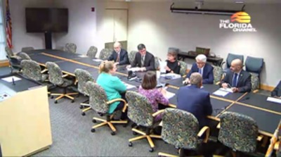 8/16/18 Revenue Estimating Conference: General Revenue Part 2 - The ...